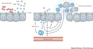 Clostridium difficile infection: new developments in epidemiology and ...