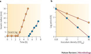A field guide to bacterial swarming motility | Nature Reviews Microbiology