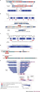 Genome evolution in filamentous plant pathogens: why bigger can be ...