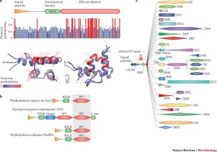 Genome evolution in filamentous plant pathogens: why bigger can be ...