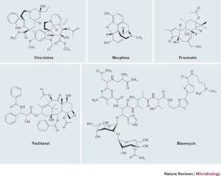 Semi-synthetic artemisinin: a model for the use of synthetic biology in ...