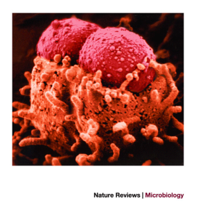 Pathogenic Escherichia coli | Nature Reviews Microbiology