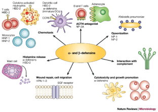 Primate defensins | Nature Reviews Microbiology