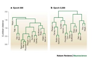 The parallel distributed processing approach to semantic cognition ...