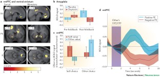 The neurobiology of rewards and values in social decision making ...