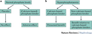 The role of phosphate in kidney disease | Nature Reviews Nephrology