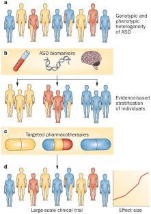 Neuroimaging in autism—from basic science to translational research ...