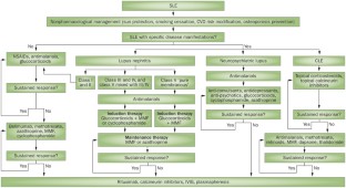 Pragmatic approaches to therapy for systemic lupus erythematosus ...