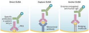Current and emerging techniques for ANCA detection in vasculitis ...