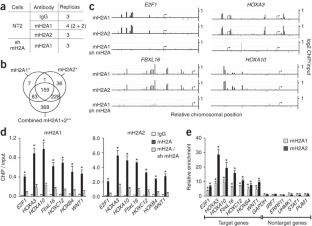 The histone variant macroH2A is an epigenetic regulator of key ...