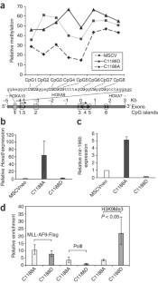 Structure of the MLL CXXC domain–DNA complex and its functional role in ...