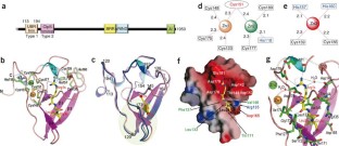 Structural basis for the recognition of N-end rule substrates by the ...