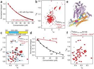 Munc13 mediates the transition from the closed syntaxin–Munc18 complex ...