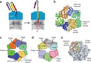 Dynamic and static components power unfolding in topologically closed ...