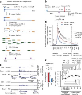 BRD4 assists elongation of both coding and enhancer RNAs by interacting with acetylated histones ...