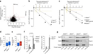 RNA fate determination through cotranscriptional adenosine methylation ...