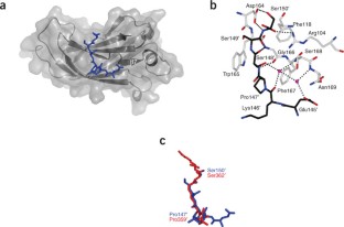 Molecular recognition of p53 and MDM2 by USP7/HAUSP | Nature Structural ...