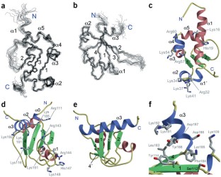 Structural analysis of cooperative RNA binding by the La motif and ...