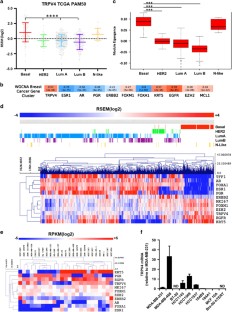 Oncosis and apoptosis induction by activation of an overexpressed ion ...