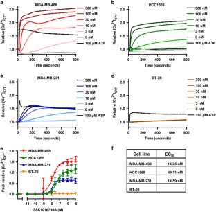 Oncosis and apoptosis induction by activation of an overexpressed ion ...