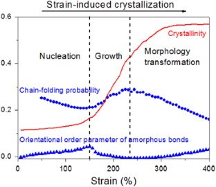 Features of strain-induced crystallization of natural rubber revealed ...