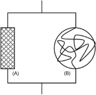 Features of strain-induced crystallization of natural rubber revealed ...