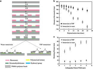 Surface-initiated atom transfer radical polymerization for applications ...
