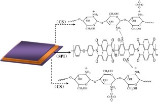 Sulfonated polyimide/chitosan composite membranes for a vanadium redox ...