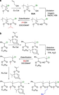 Sequence-controlled polymers via reversible-deactivation radical ...