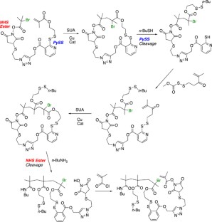 Sequence-controlled polymers via reversible-deactivation radical ...