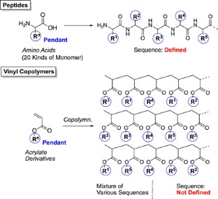Sequence-controlled polymers via reversible-deactivation radical ...