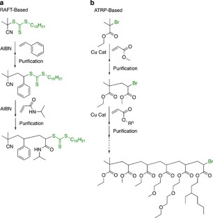 Sequence-controlled polymers via reversible-deactivation radical polymerization | Polymer Journal