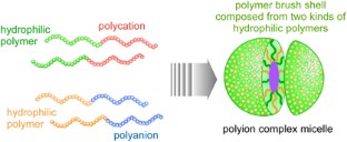 Polyion complex micelle formation from double-hydrophilic block copolymers composed of charged ...