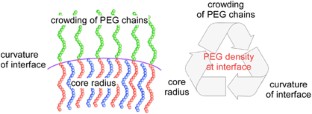Polyion complex micelle formation from double-hydrophilic block ...