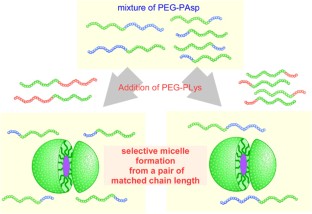 Polyion complex micelle formation from double-hydrophilic block ...