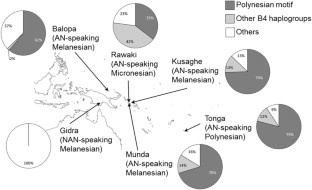 Mitochondrial DNA variations in Austronesian-speaking populations ...