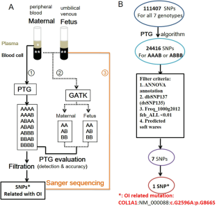 Identification of a de novo fetal variant in osteogenesis imperfecta by ...