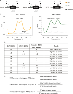 Carrier screening for spinal muscular atrophy with a simple test based ...