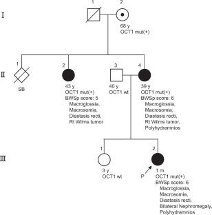 The extent of DNA methylation anticipation due to a genetic defect in ...