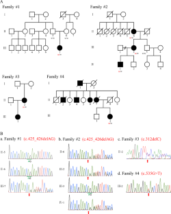 UBAP1 mutations cause juvenile-onset hereditary spastic paraplegias ...