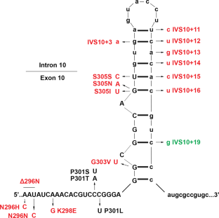 MAPT mutations, tauopathy, and mechanisms of neurodegeneration ...