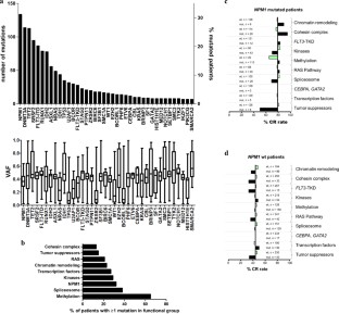 Mutation patterns identify adult patients with de novo acute myeloid leukemia aged 60 years or ...