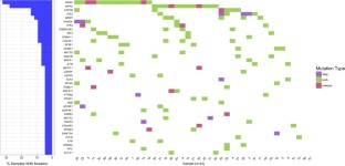 Multiple myeloma clonal evolution in homogeneously treated patients ...