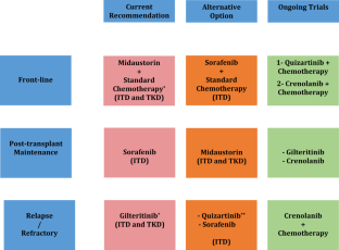 FLT3 inhibitors in acute myeloid leukemia: ten frequently asked ...