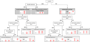 Reconstructing clonal evolution in relapsed and non-relapsed Burkitt ...