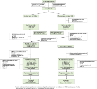Salvage autologous transplant and lenalidomide maintenance vs. lenalidomide/dexamethasone for ...