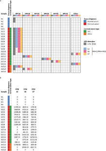 RNA-based high-risk HPV genotyping and identification of high-risk HPV ...