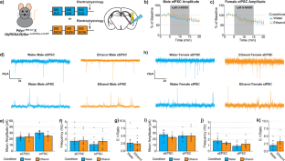 Kappa opioid receptor and dynorphin signaling in the central amygdala ...