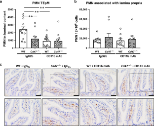 Neutrophil expressed CD47 regulates CD11b/CD18-dependent neutrophil ...
