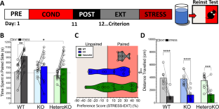 α 2A -adrenergic heteroreceptors are required for stress-induced ...